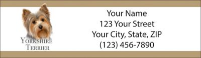 All Address Labels